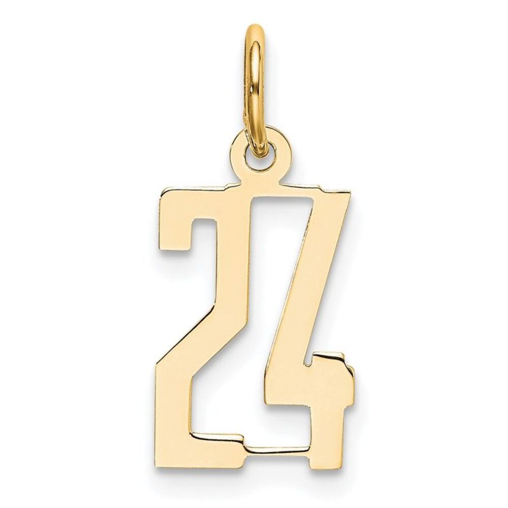 14k Yellow Gold Small Elongated Number 24 Charm - Gem
